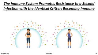 Basic intro to Microbes and the Immune System Powerpoint | PPTX