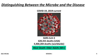 Basic intro to Microbes and the Immune System Powerpoint | PPTX