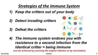 Basic intro to Microbes and the Immune System Powerpoint | PPTX