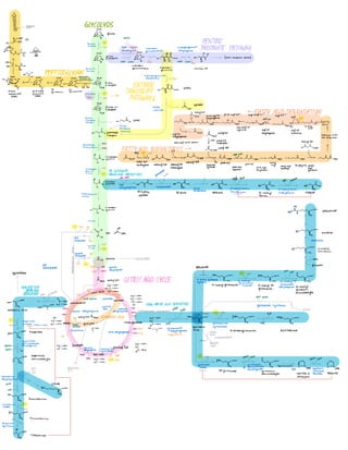 List of many microbiology biochemistry Pathways list for pathways | PDF