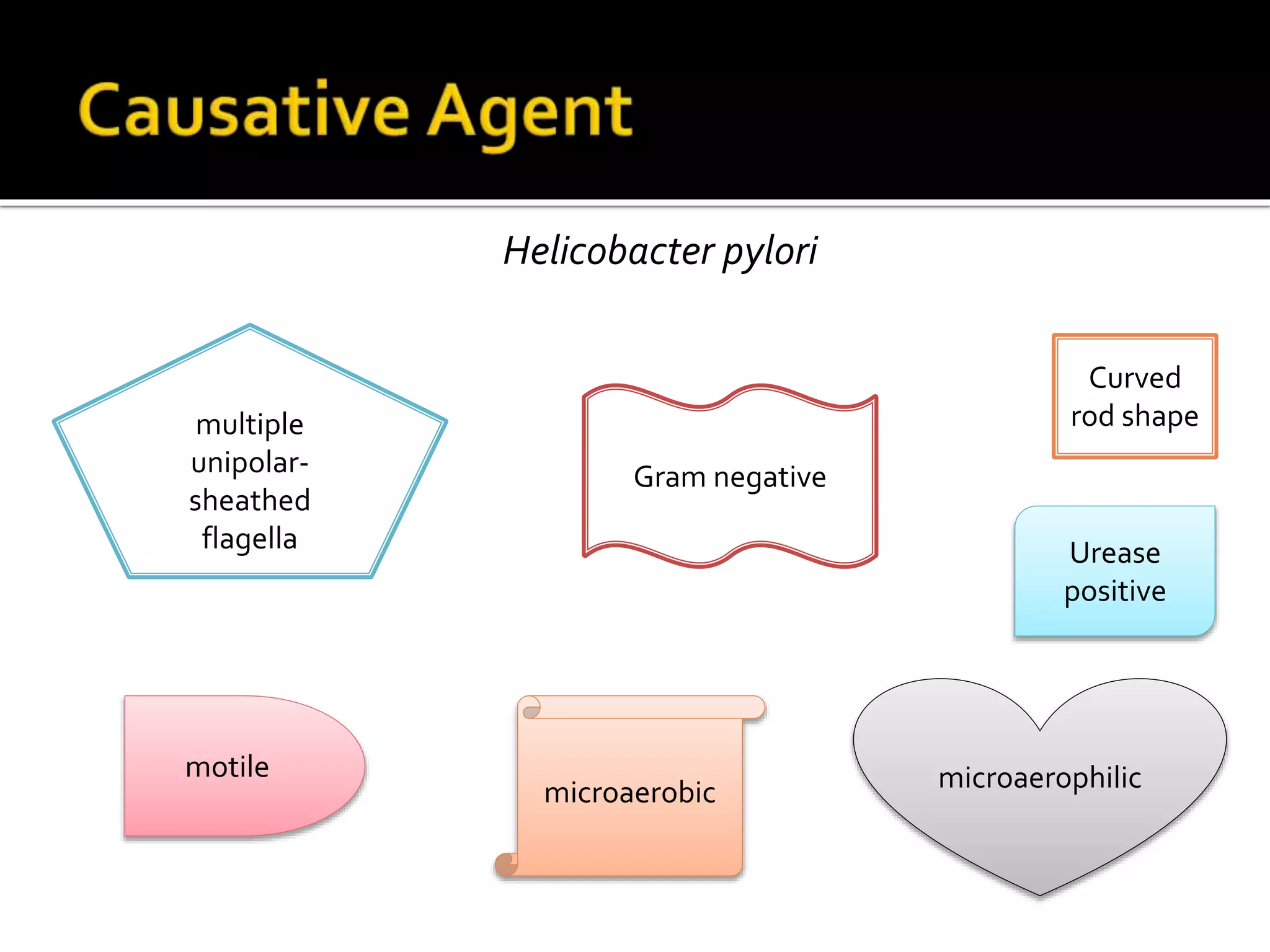 case study 1(peptic ulser diseases) | PPTX