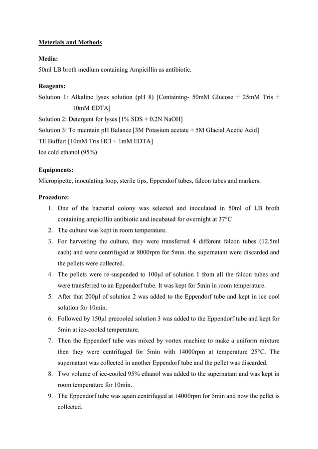 Plasmid Isolation Lab Report | DOCX
