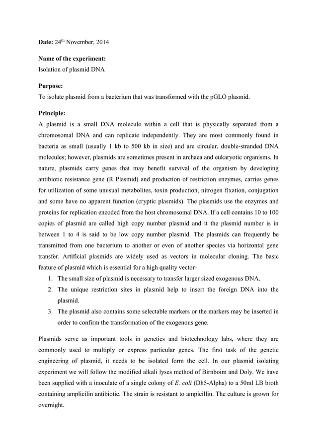 Plasmid Isolation Lab Report