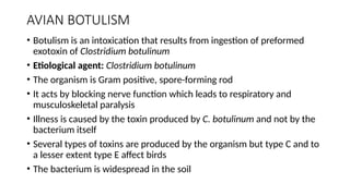 MIC 444 Agricultural Microbiology 34.pptx