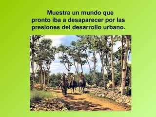 Mi caballo mago | PPT