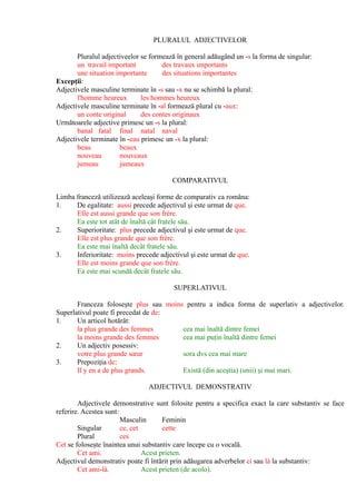 Mica gramatica a limbii franceze | PDF