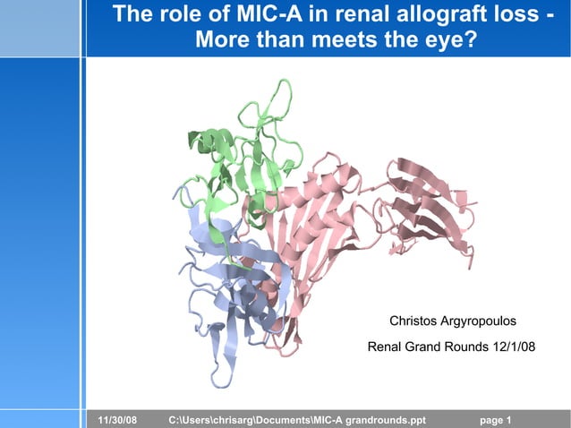 MICA Antibodies in Renal Transplantation | PDF | Blood Disorders ...