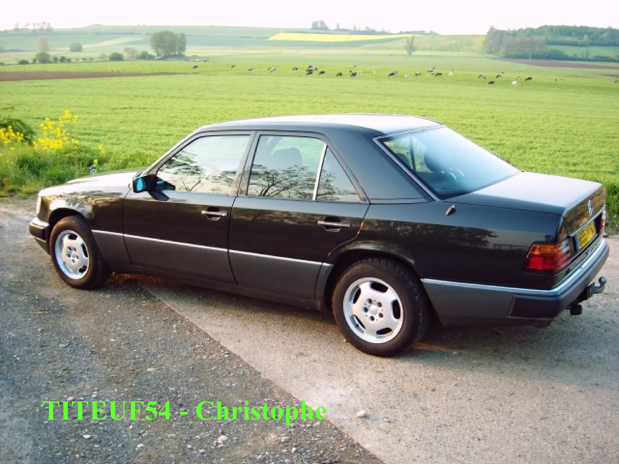 Mercedes W124 | PPS