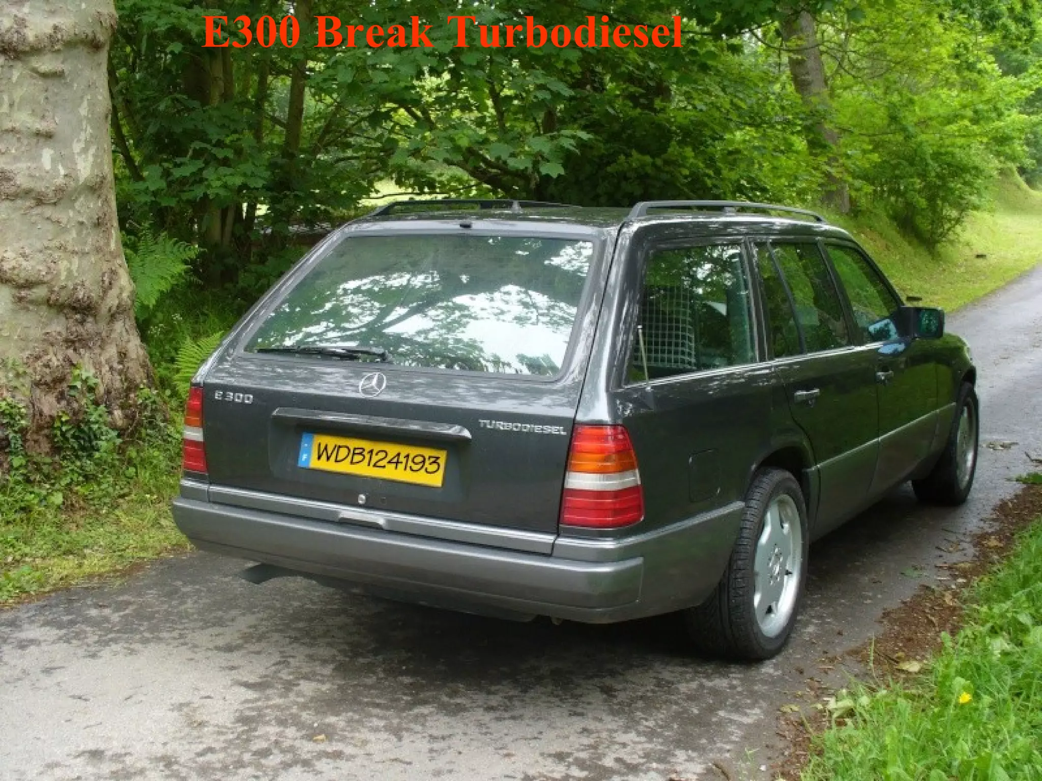 Mercedes W124 | PPS