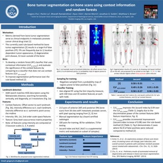Bone tumor segmentation on bone scans using context information and ...