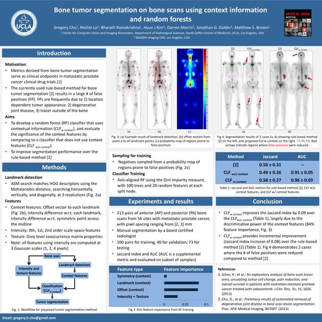 Bone tumor segmentation on bone scans using context information and random forests | PDF