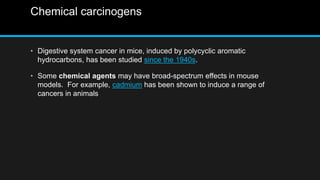 Mice carcinogenes | PDF
