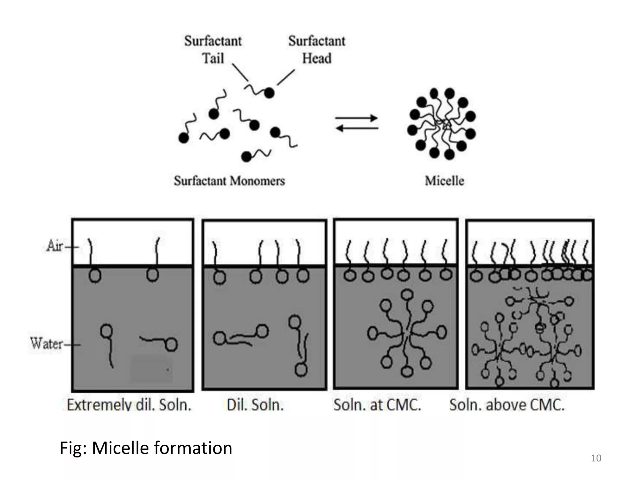 Micelle and critical micelle concentration | PPTX