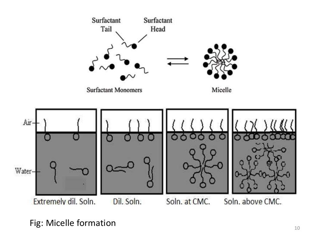 Micelle and critical micelle concentration