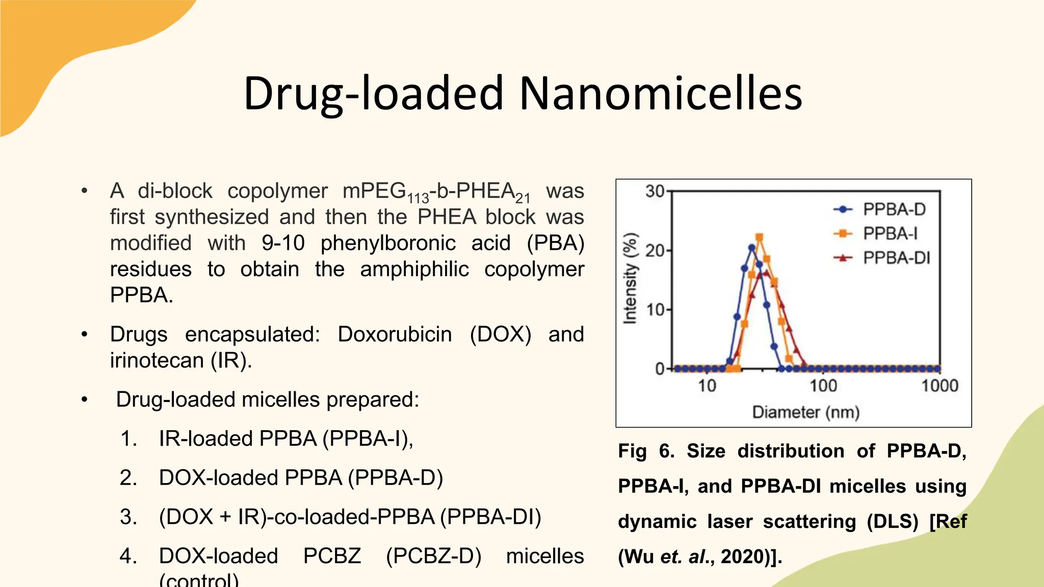 Micelle Drug Delivery System (Nanotechnology).pptx