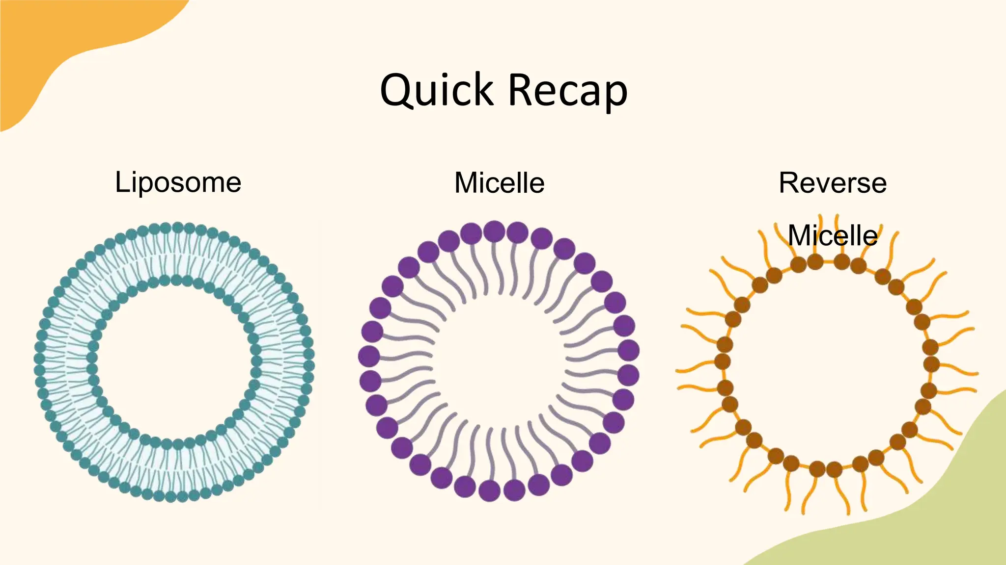 Micelle Drug Delivery System (Nanotechnology).pptx