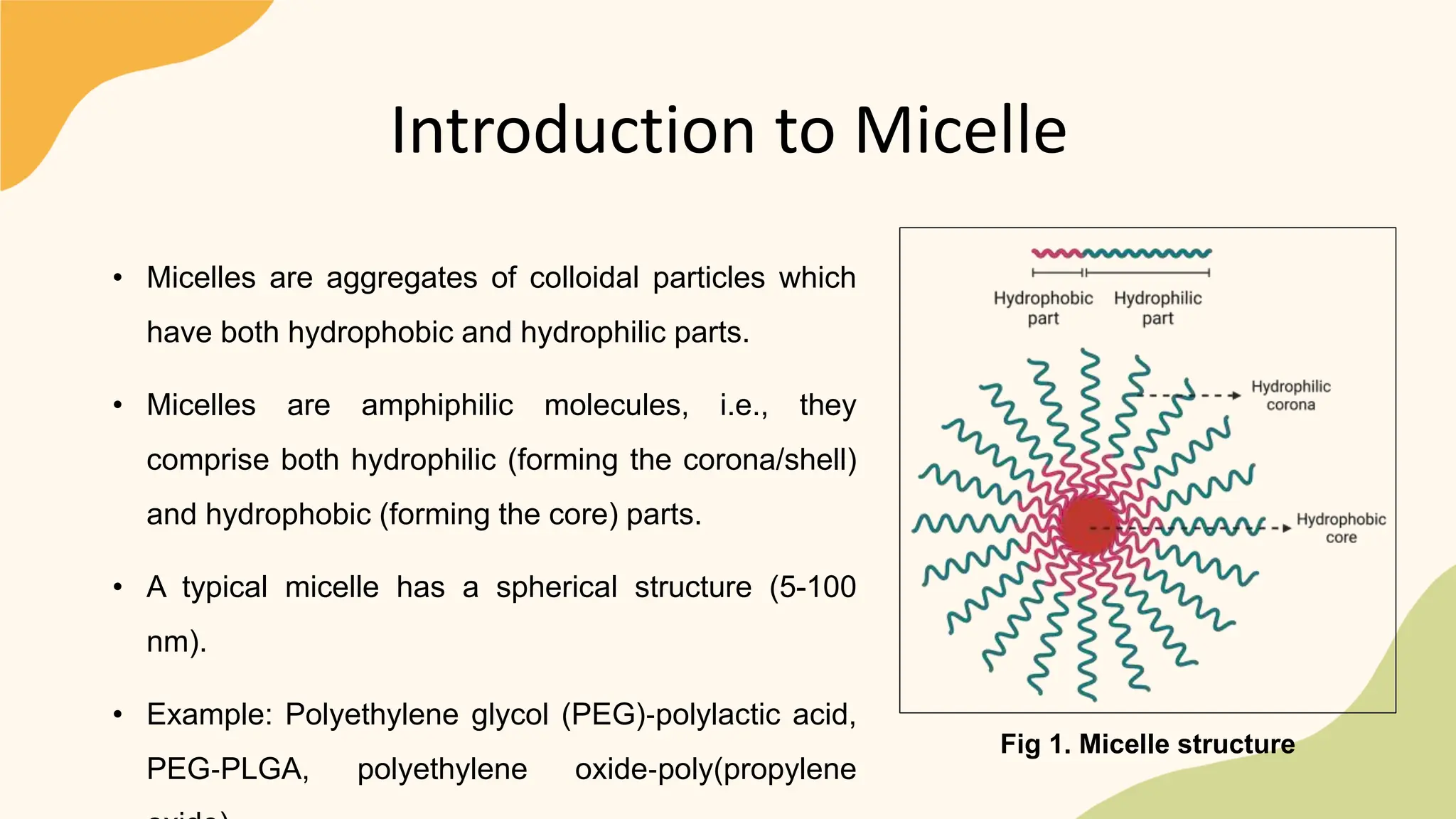 Micelle Drug Delivery System (Nanotechnology).pptx