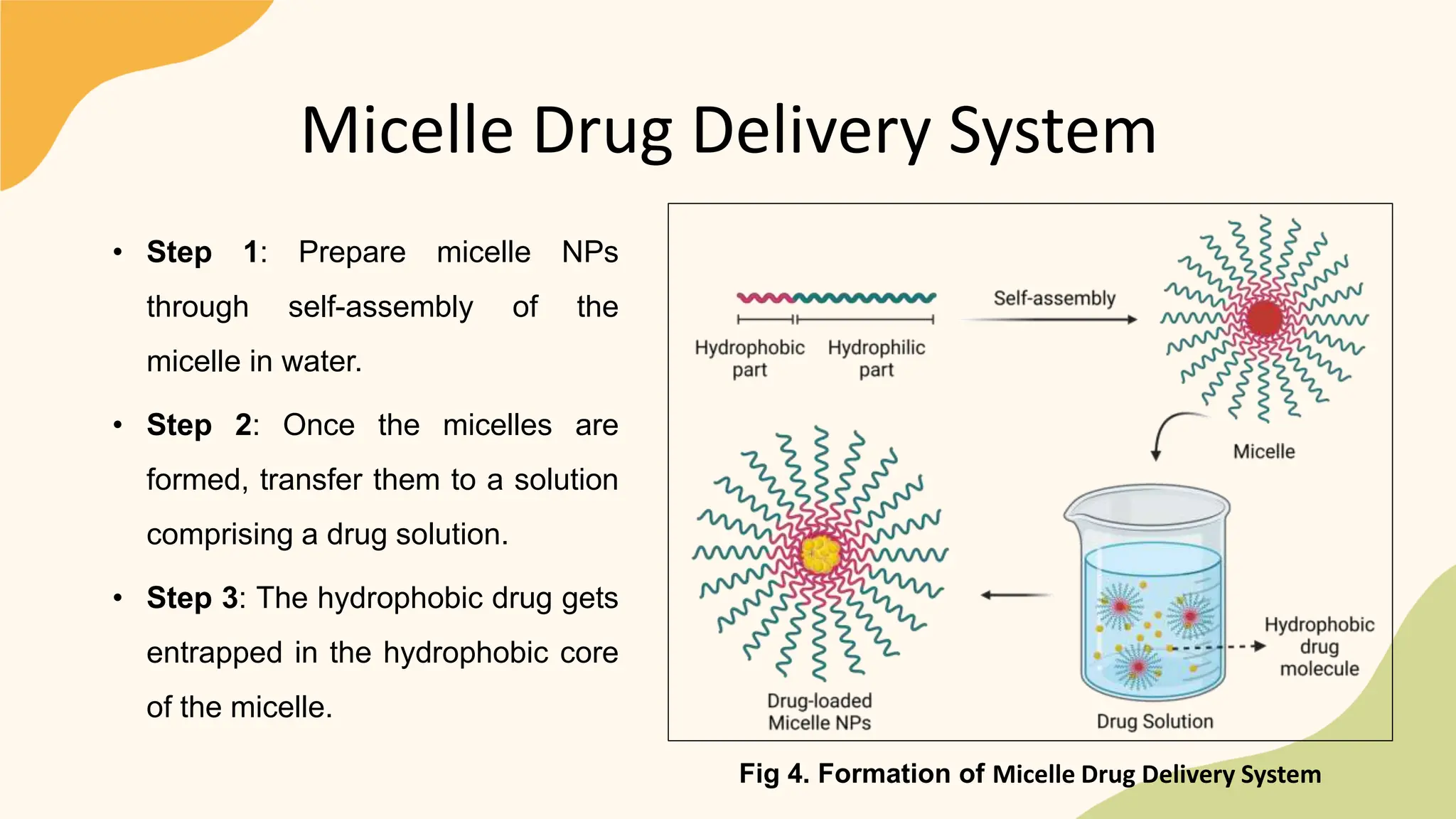 Micelle Drug Delivery System (Nanotechnology).pptx