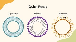 Micelle Drug Delivery System (Nanotechnology).pptx