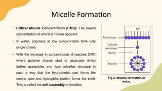 Micelle Drug Delivery System (Nanotechnology).pptx