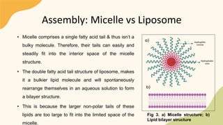 Micelle Drug Delivery System (Nanotechnology).pptx