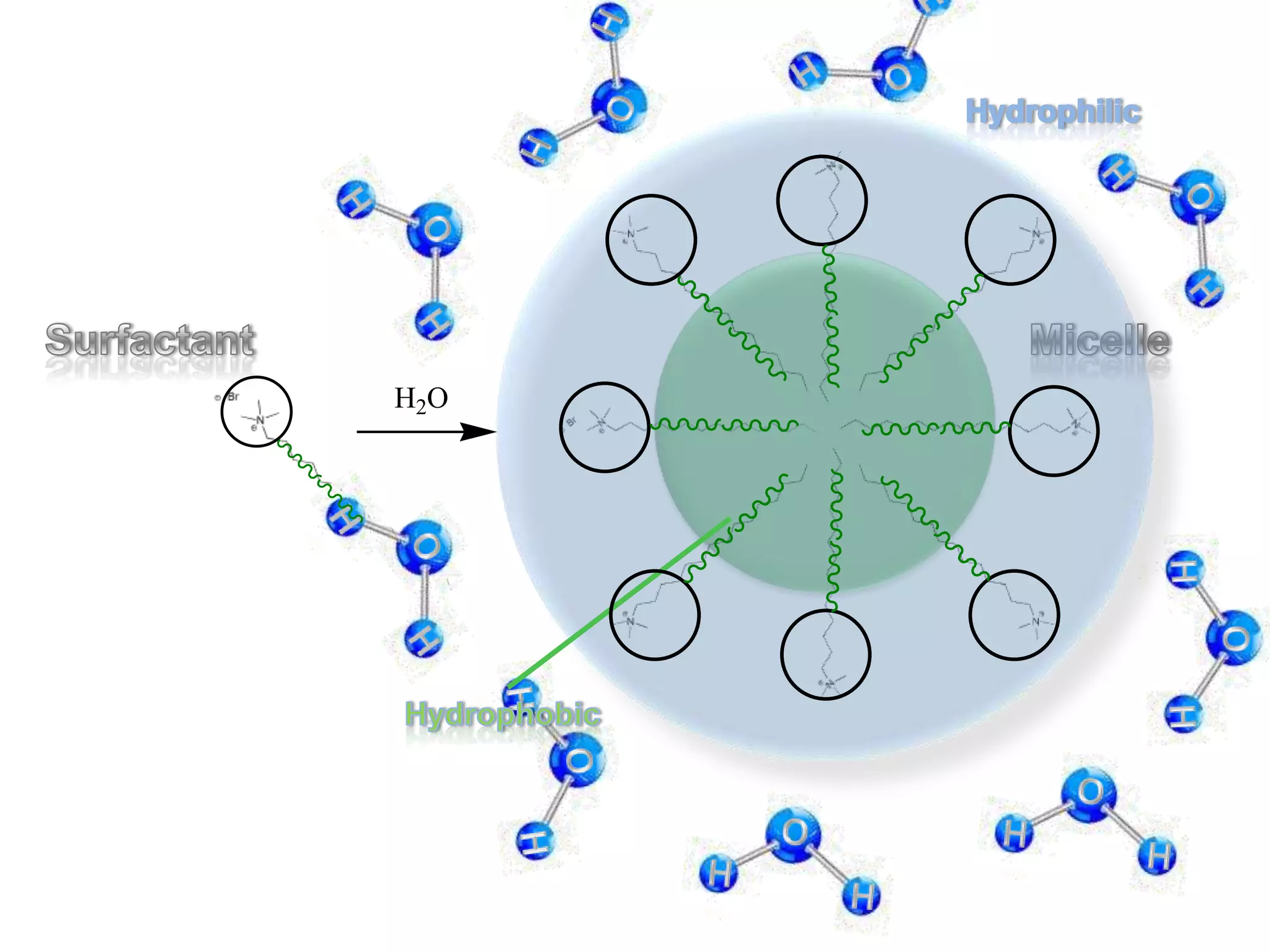 Micelle Formation | PPTX