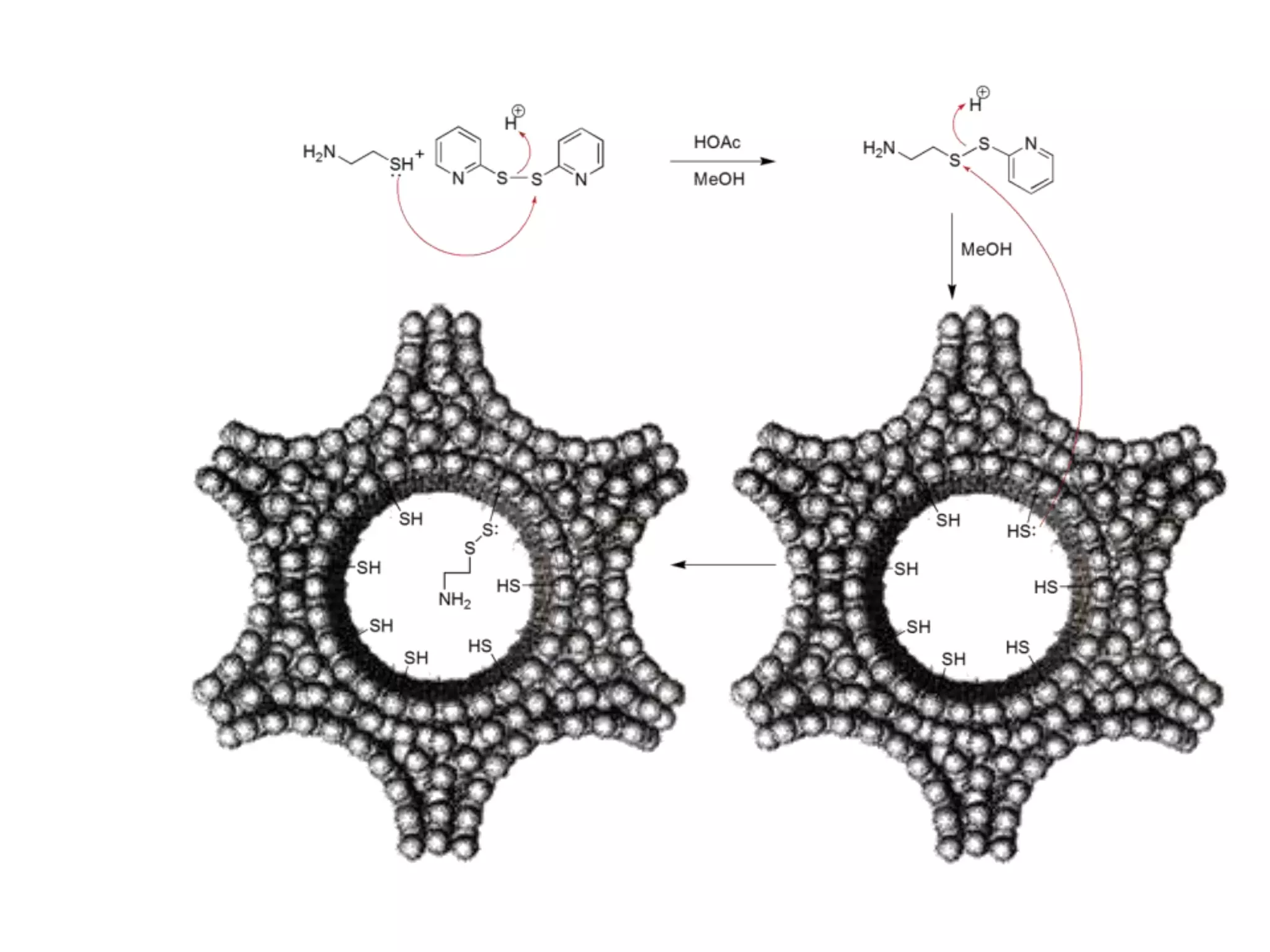 Micelle Formation | PPTX