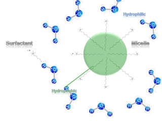 Micelle Formation | PPTX