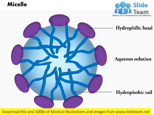 Micelle medical images for power point