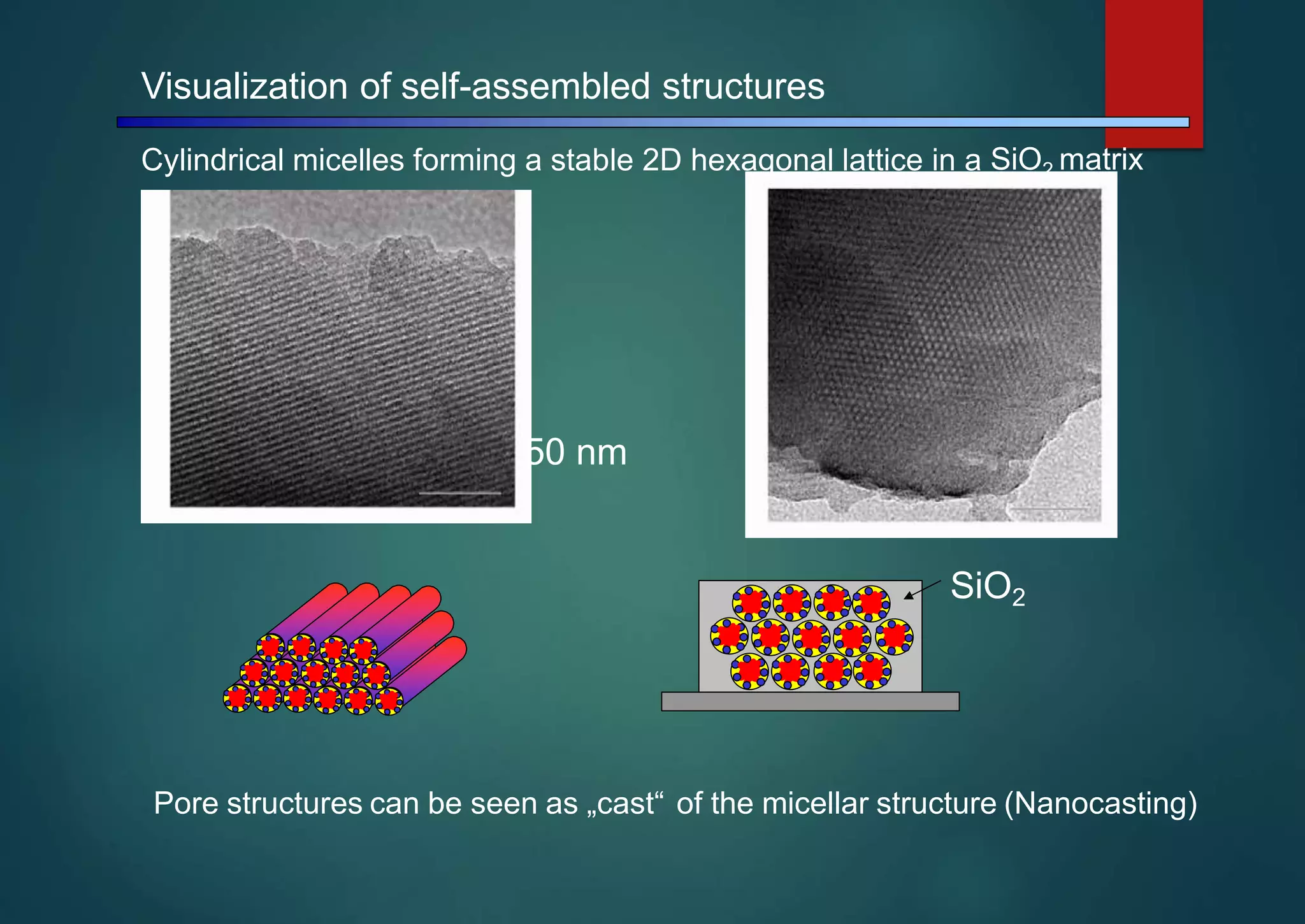 Micelle presentation | PPTX