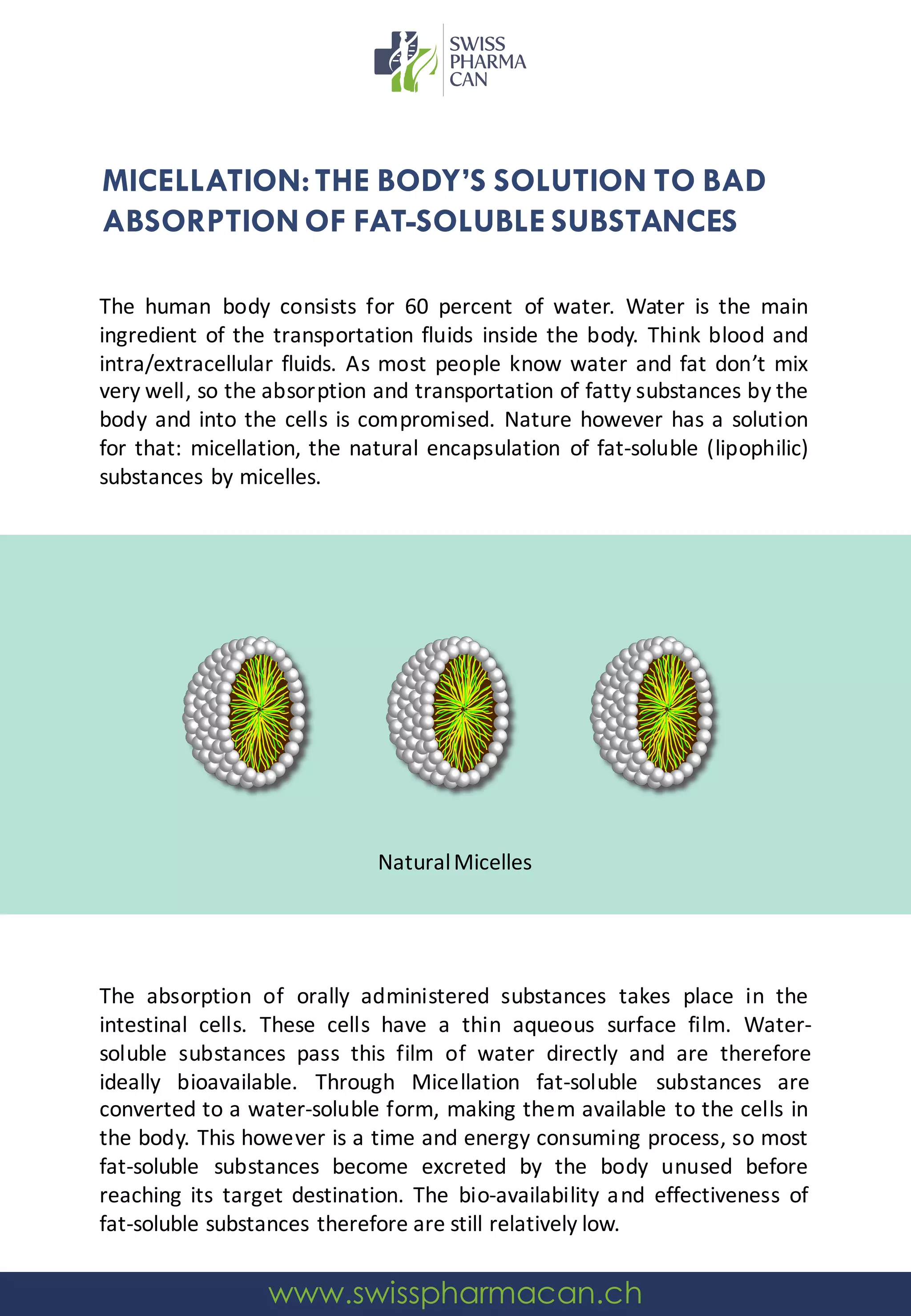 Micelle technology leaflet Swiss Pharma | PDF