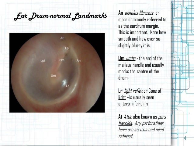 EAR: Common Conditions the GPs Should Know