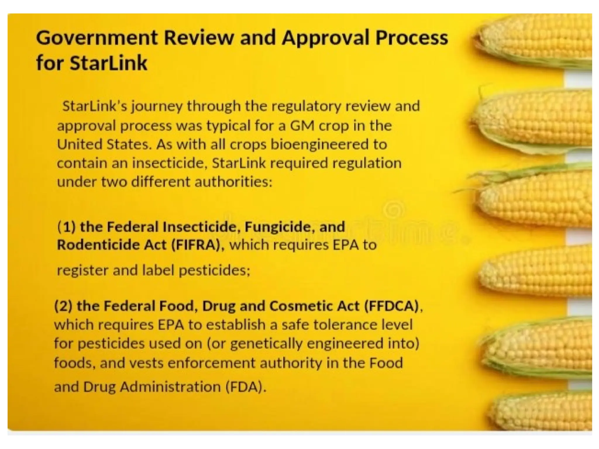 Michael-Labe-Starlink-corn controversy-ppt.pptx