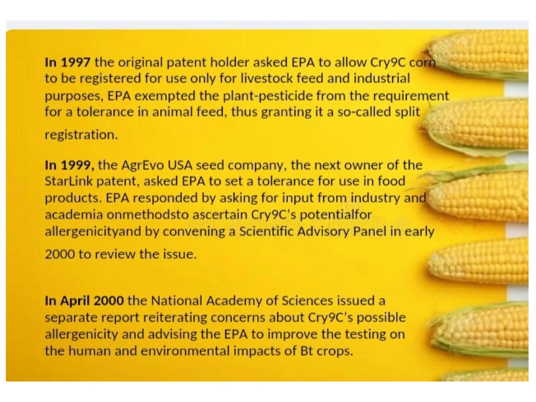 Michael-Labe-Starlink-corn controversy-ppt.pptx