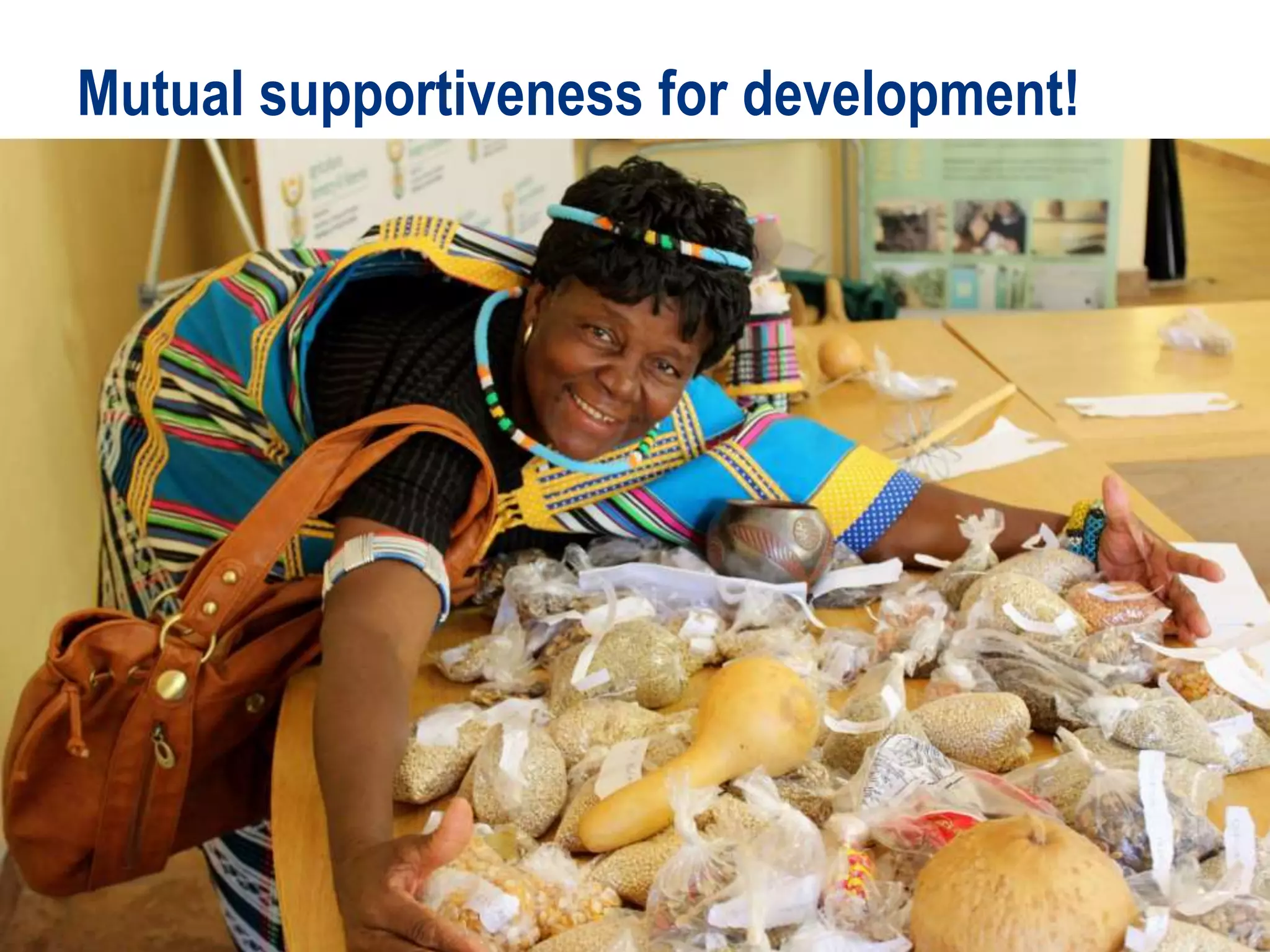 Implementing the multilateral system for development: Highlighting ...