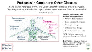 PROTEASE DETECTION ON BLOOD SPOT CARDS FOR FUTURE COMPANION DIAGNOSTICS ...