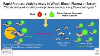 PROTEASE DETECTION ON BLOOD SPOT CARDS FOR FUTURE COMPANION DIAGNOSTICS | PDF