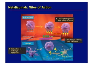 Michael hutchinson - Natalizumab therapy for MS - 2009 | PDF