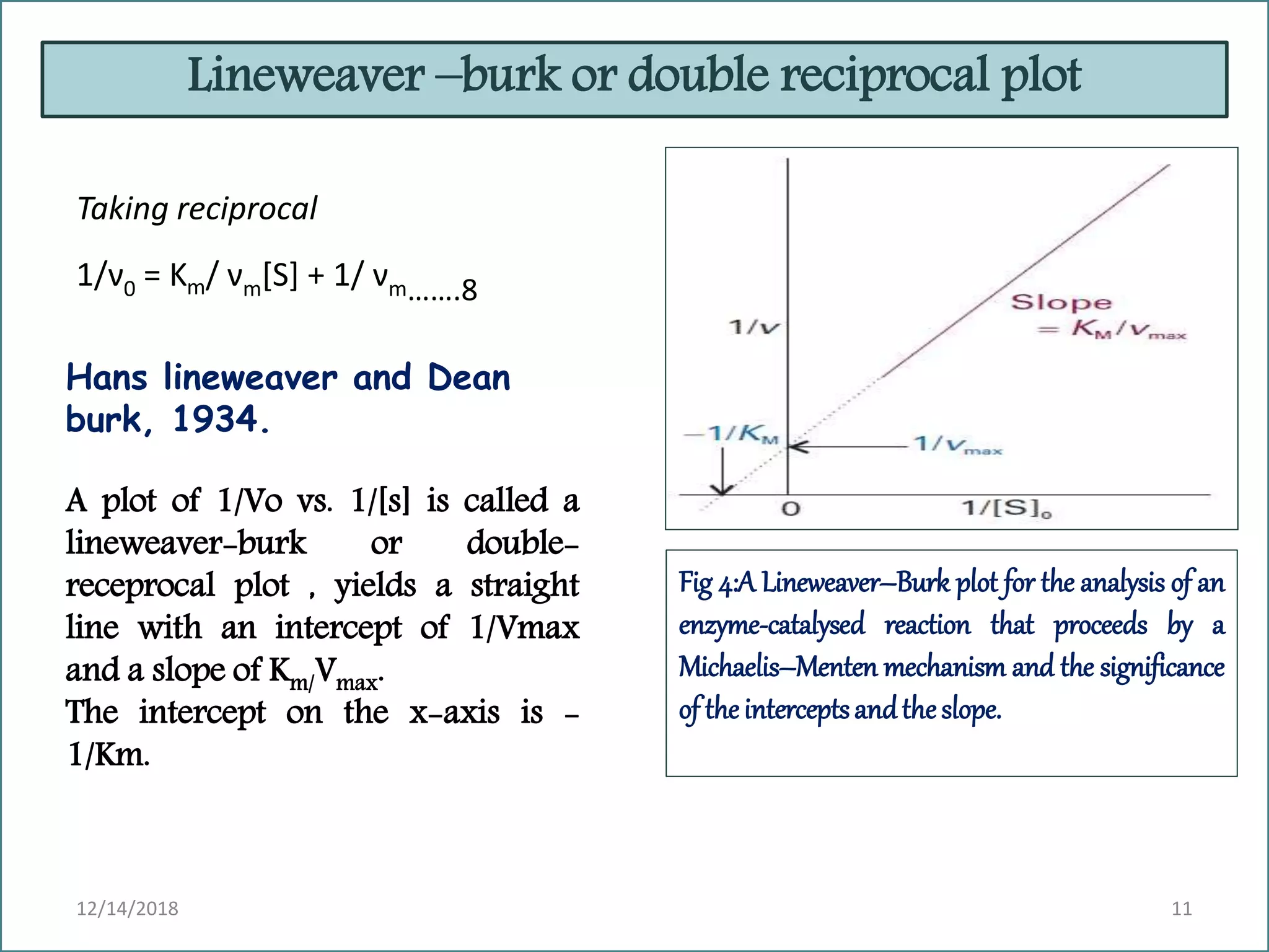Michaelis menten | PPTX