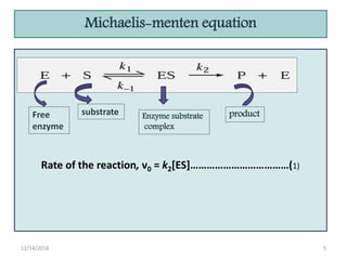 Enzyme Substrate Equation