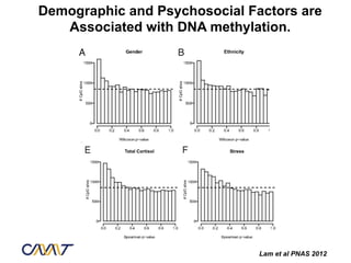 Epigenetics and Addiction Research - Michael Kobor | PDF
