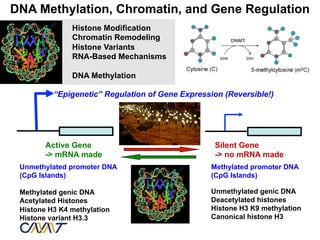 Epigenetics and Addiction Research - Michael Kobor | PDF