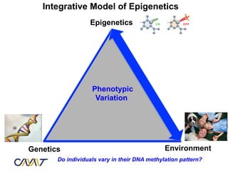 Epigenetics and Addiction Research - Michael Kobor | PDF