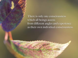 The Evolution of Consciousness | PDF