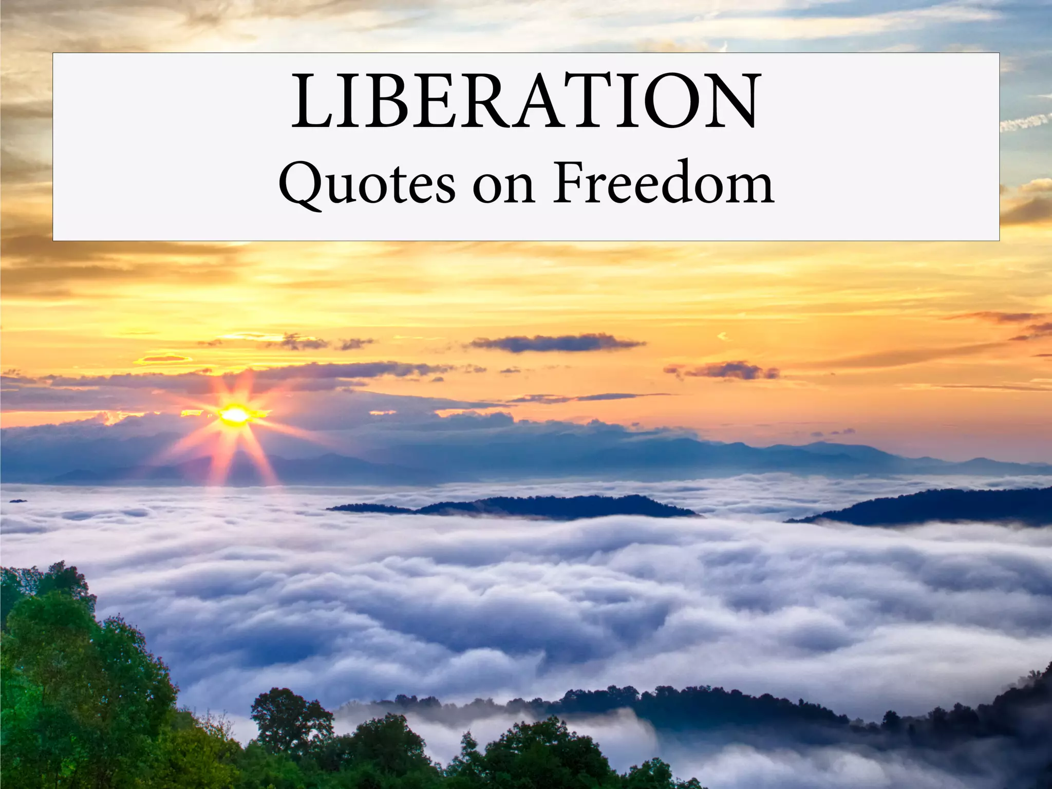 Liberation: Quotes on Freedom | PDF