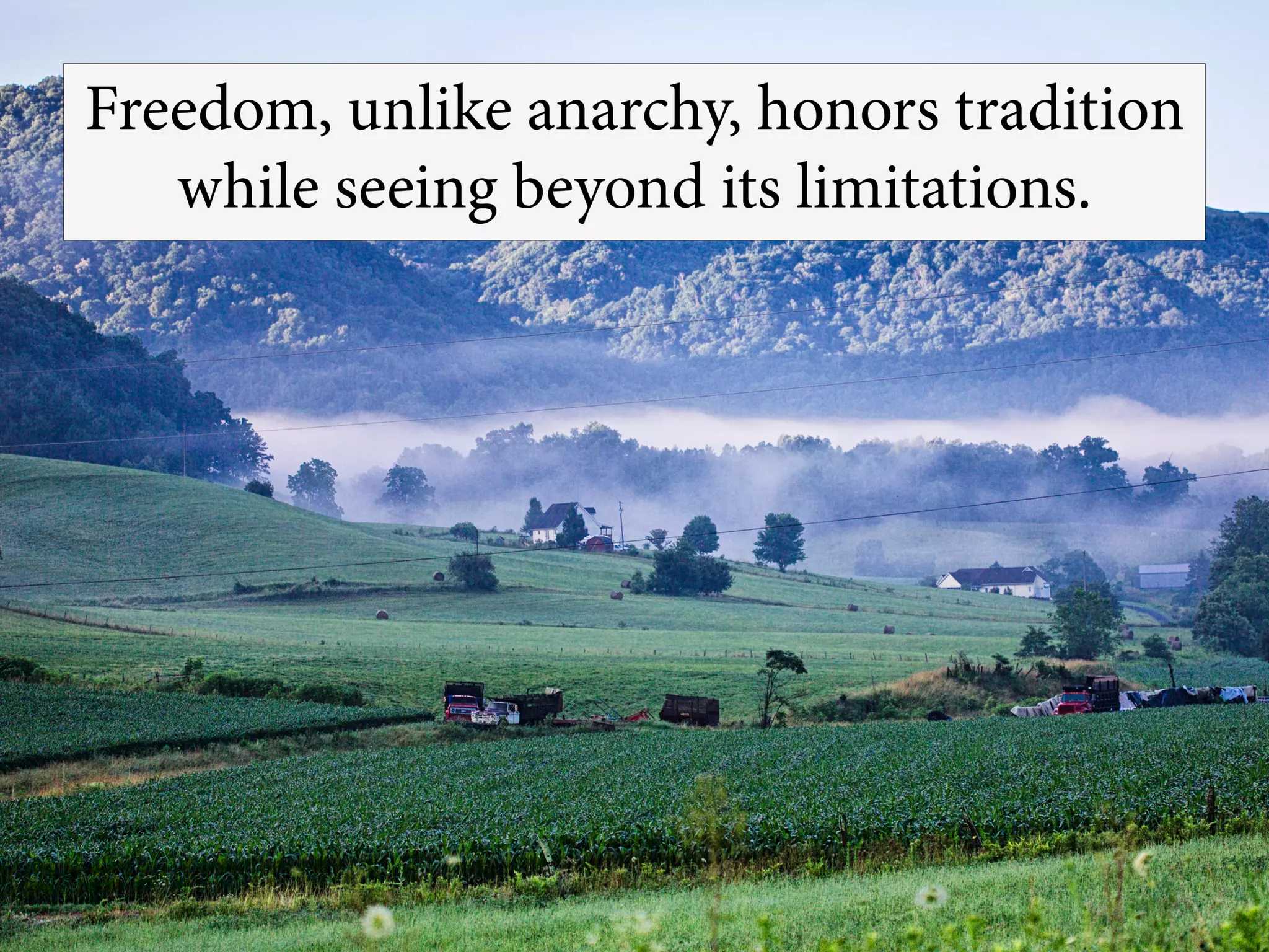 Liberation: Quotes on Freedom | PDF