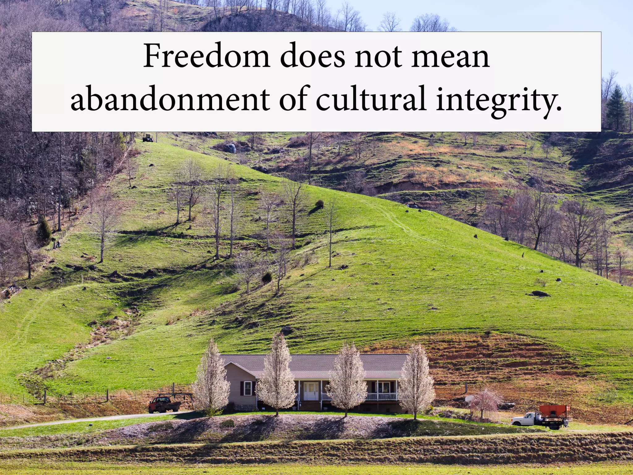 Liberation: Quotes on Freedom | PDF