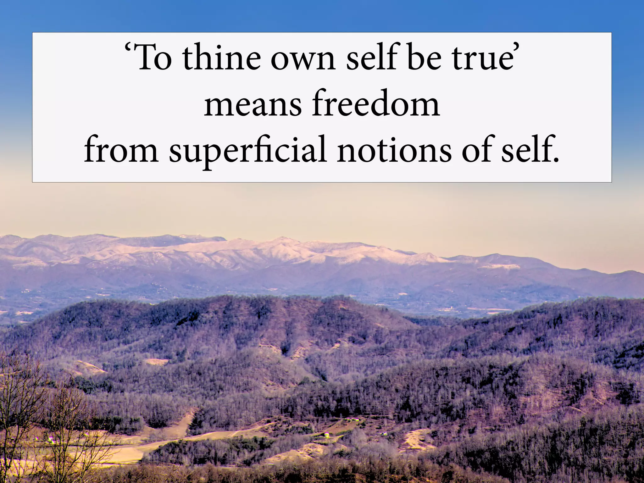 Liberation: Quotes on Freedom | PDF