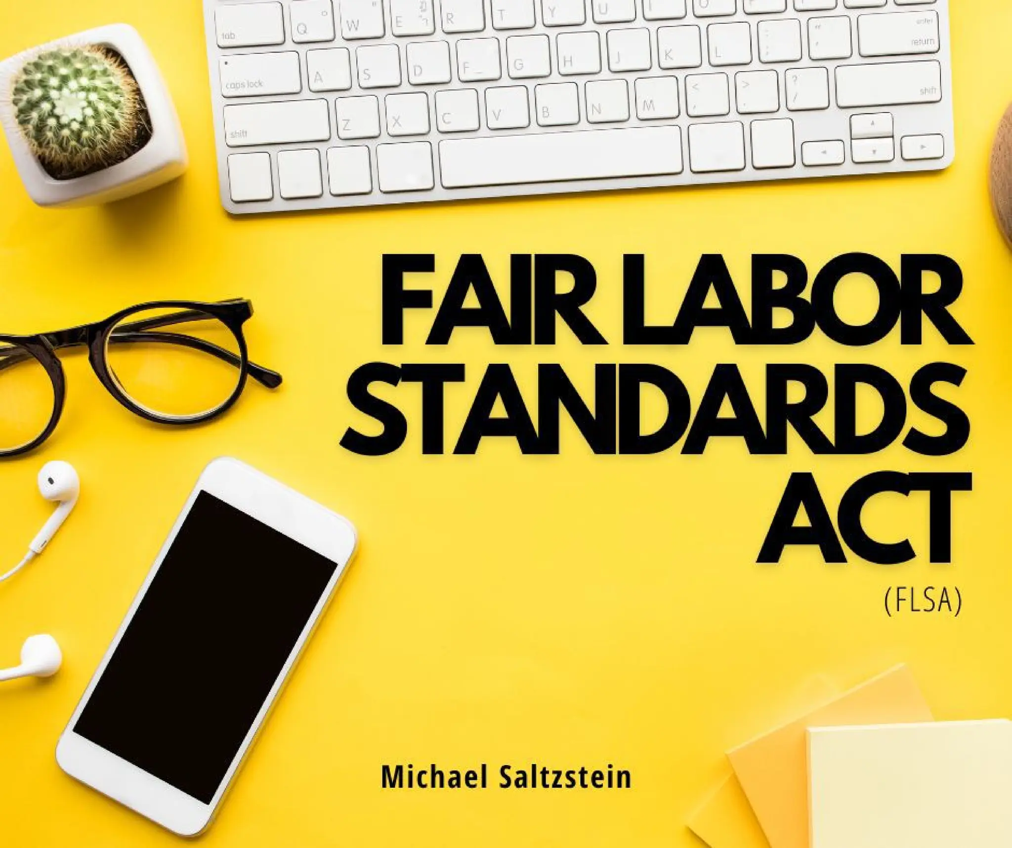 This law sets standards for minimum wage. | PDF