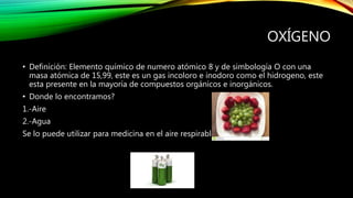 Michael Sánchez Bioelementos | PPTX